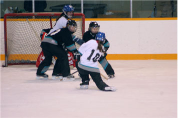 Specialty Team Tactics: How to Score On The 3 vs. 2 Power Play and 4 vs ...