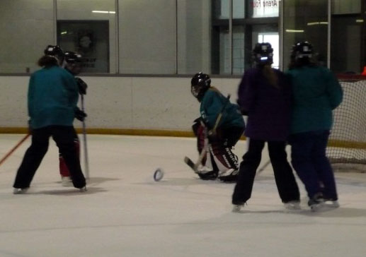 Lisa Brown Summer Ringette Camp / RingetteTips.com — Ringette Tips